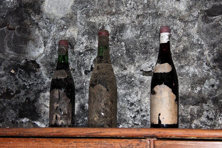 Amarone oder Ripasso? | Dinnerscout