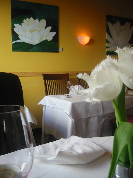 Bibulus | Dinnerscout