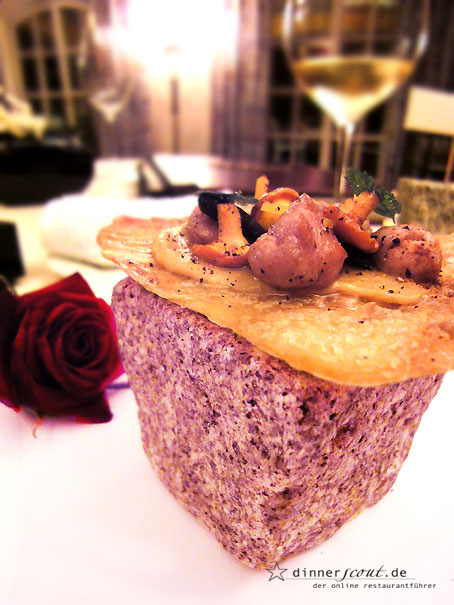 Eine Naturreise mit Denis Feix | Dinnerscout